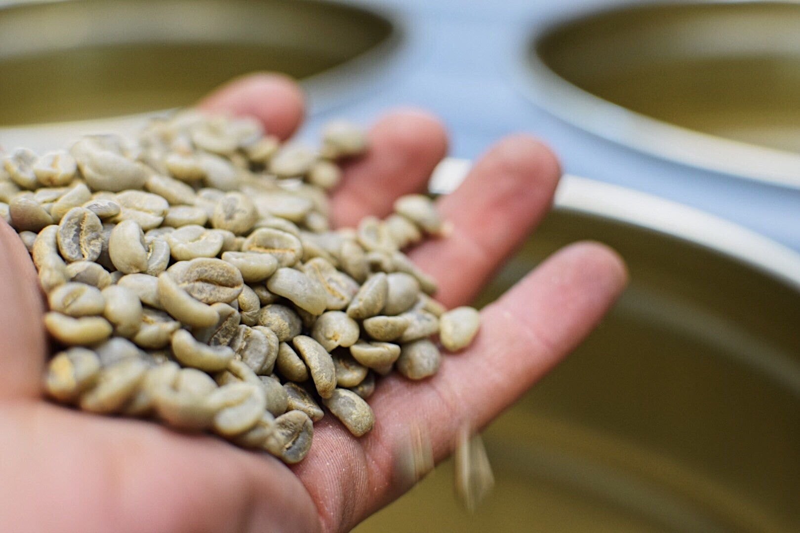 Sugar Cane Process – DecafCo