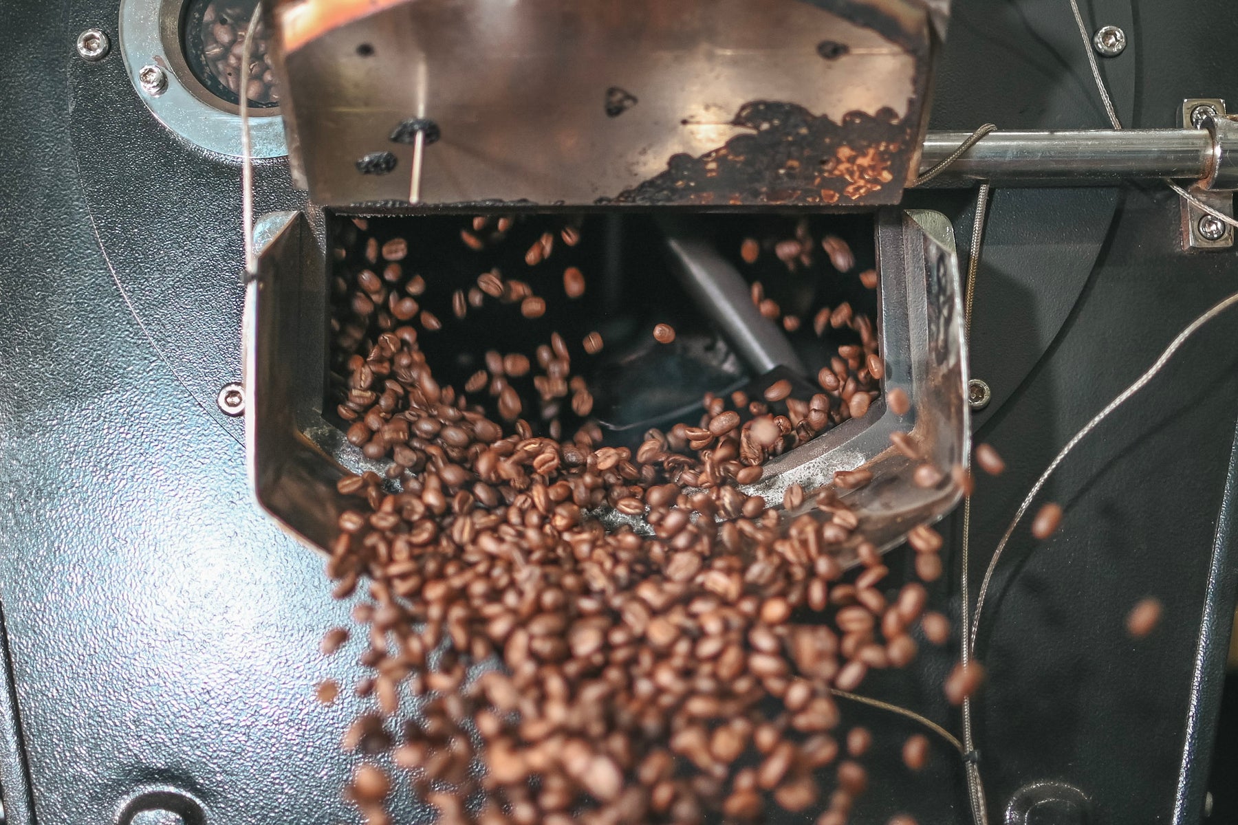 Decaf Co - 3 Pack – DecafCo